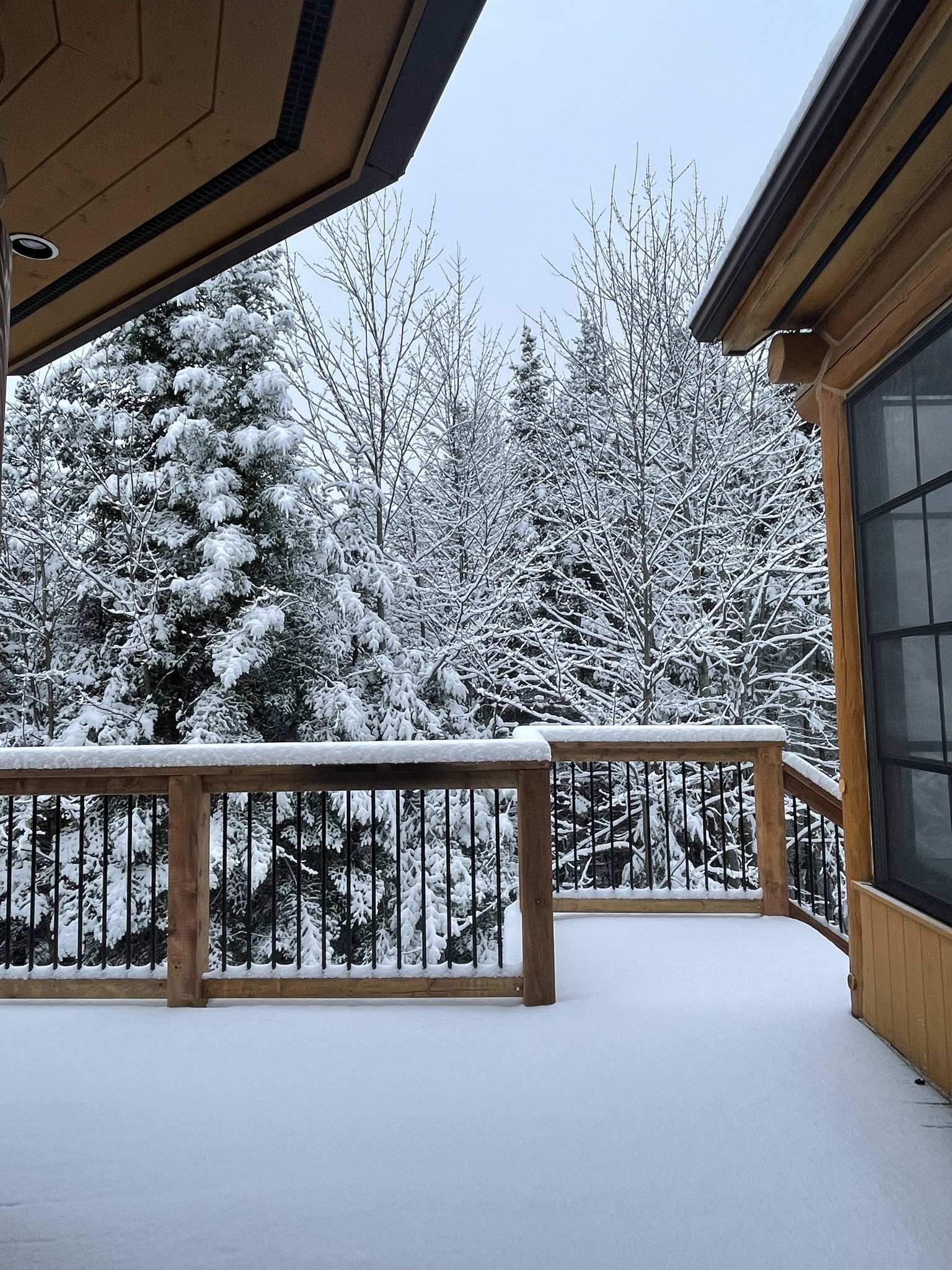 Welcoming Winter | Yoga In My Backyard