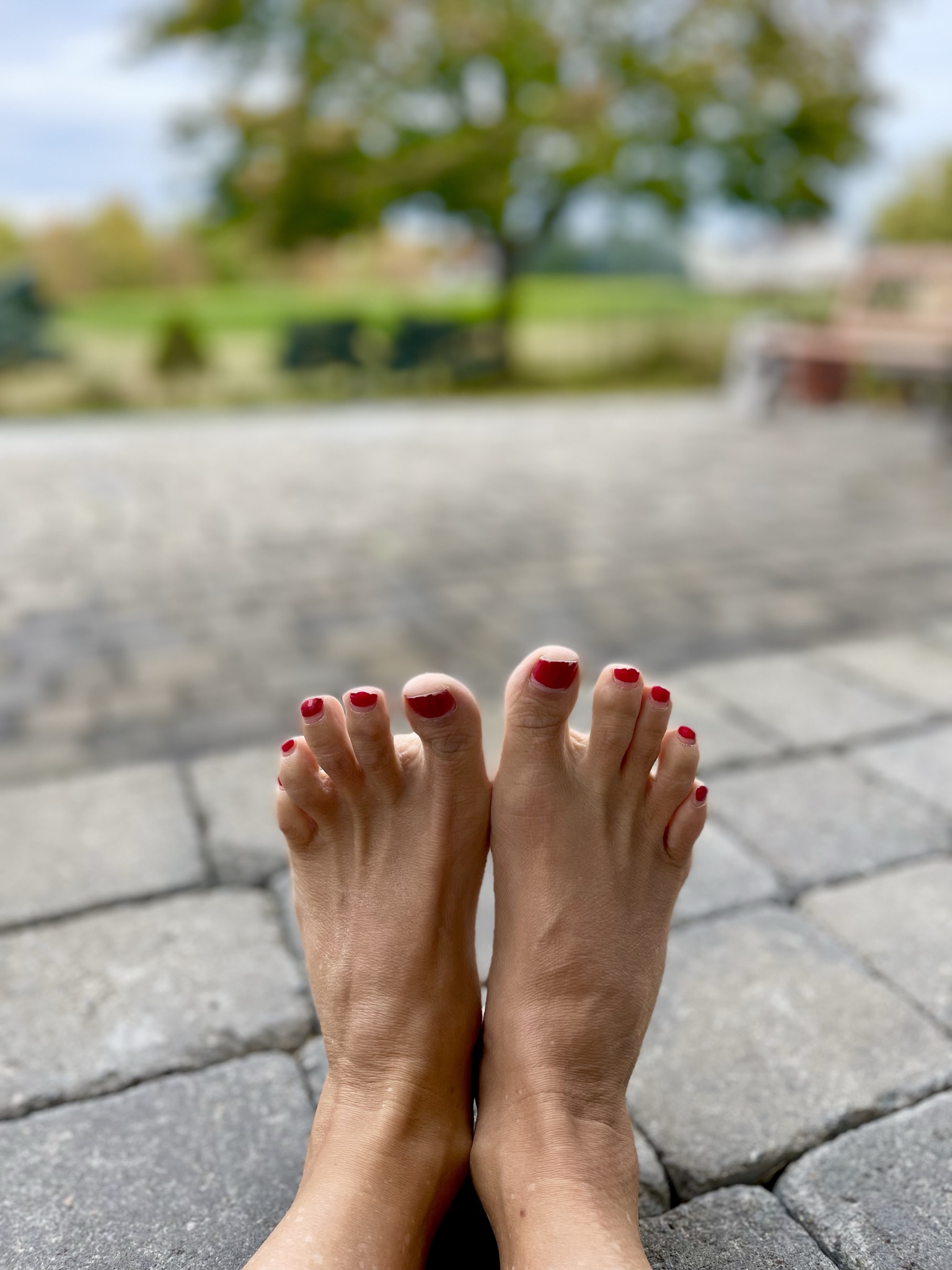 Next Steps | Yoga In My Backyard